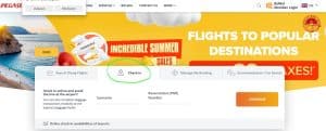 Online check-in at Pegasus - Check in your flight now |2026|